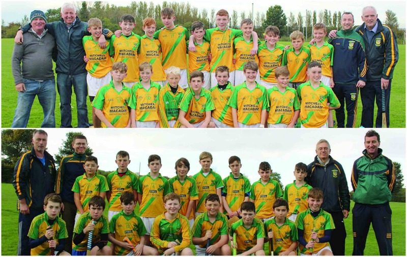 Faughs Under 13 teams both enjoy Dublin League success | Echo.ie