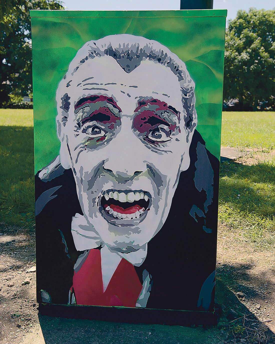 Artist’s tribute to Paddy Drac | Echo.ie