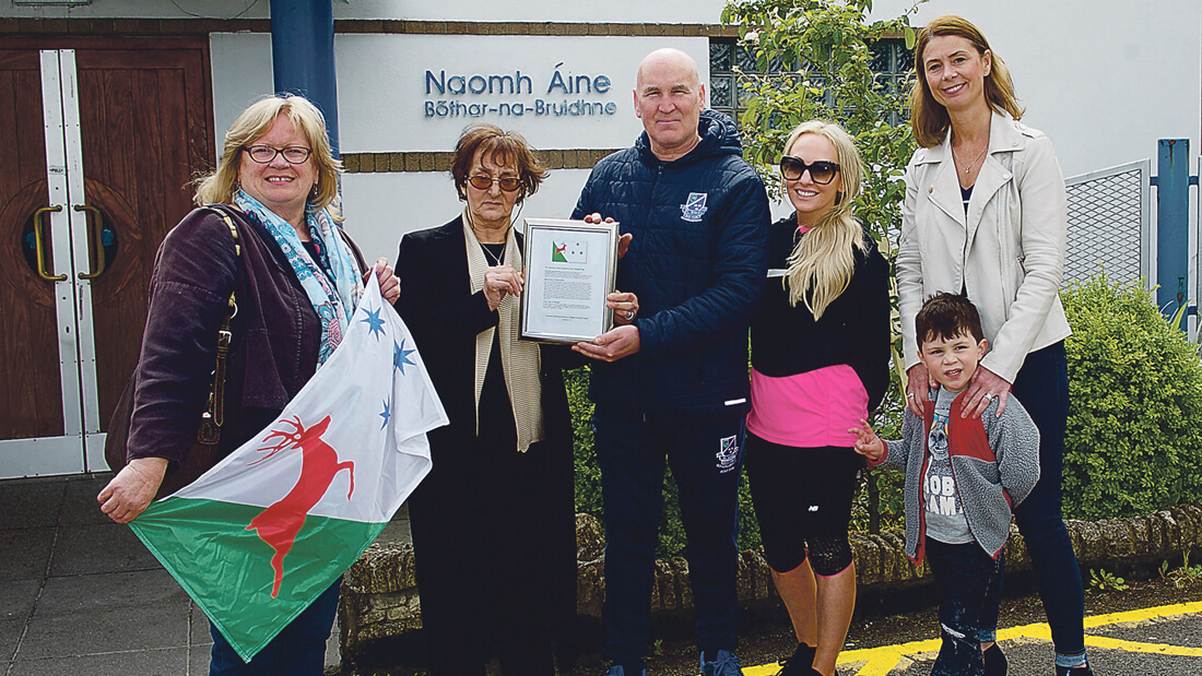 Fancy flying the Tallaght flag outside your business or club? | Echo.ie