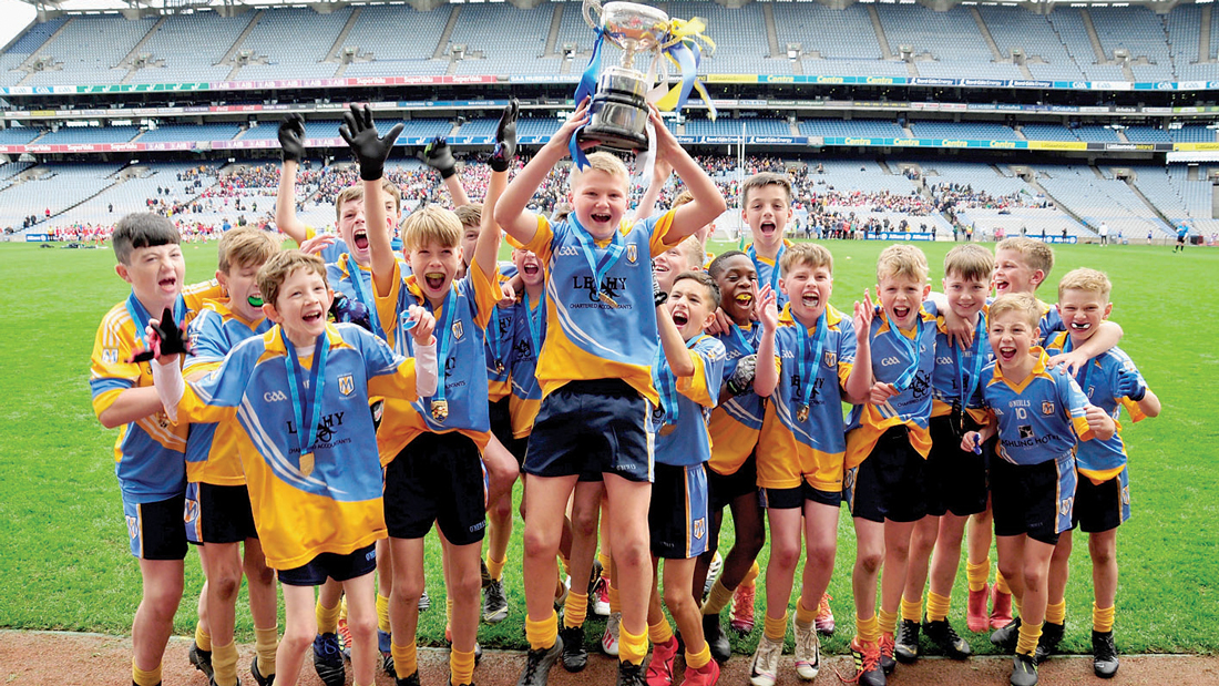 Cumann na mBunscol Finals: Croker joy for local schools | Echo.ie
