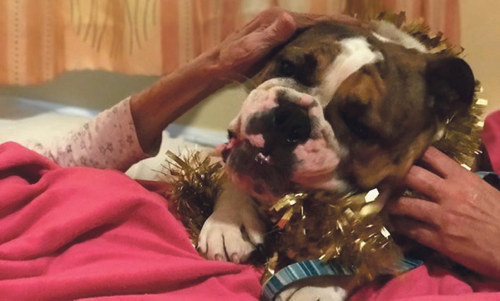 Christmas wishes from Lucan Lodge and Millbrook Manor Nursing Homes ...