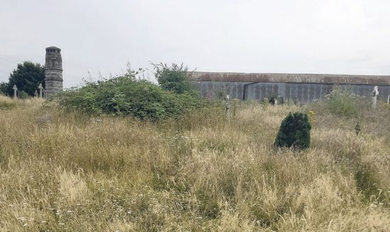 Residents furious over neglect of historic cemetery | Echo.ie