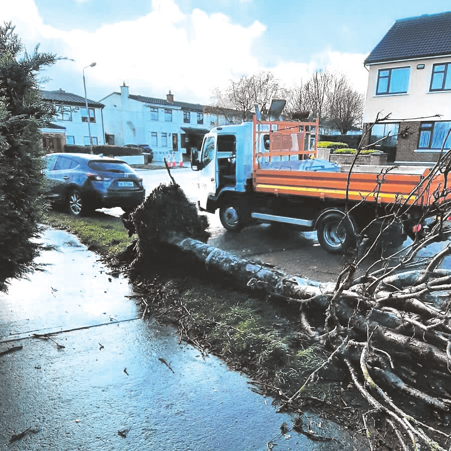 11 incidents of spot flooding and 30 reports of fallen trees | Echo.ie