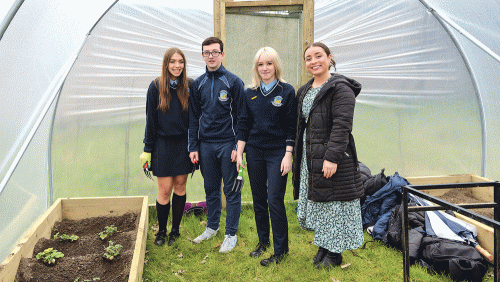 Sustainable project takes root with students in Old Bawn CS | Echo.ie