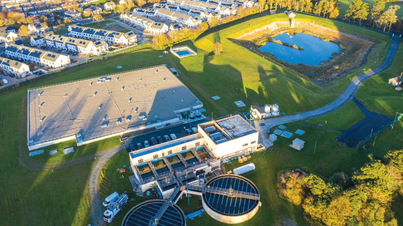 Over 1,400 trees are planted at Ballyboden Water Treatment Plant | Echo.ie