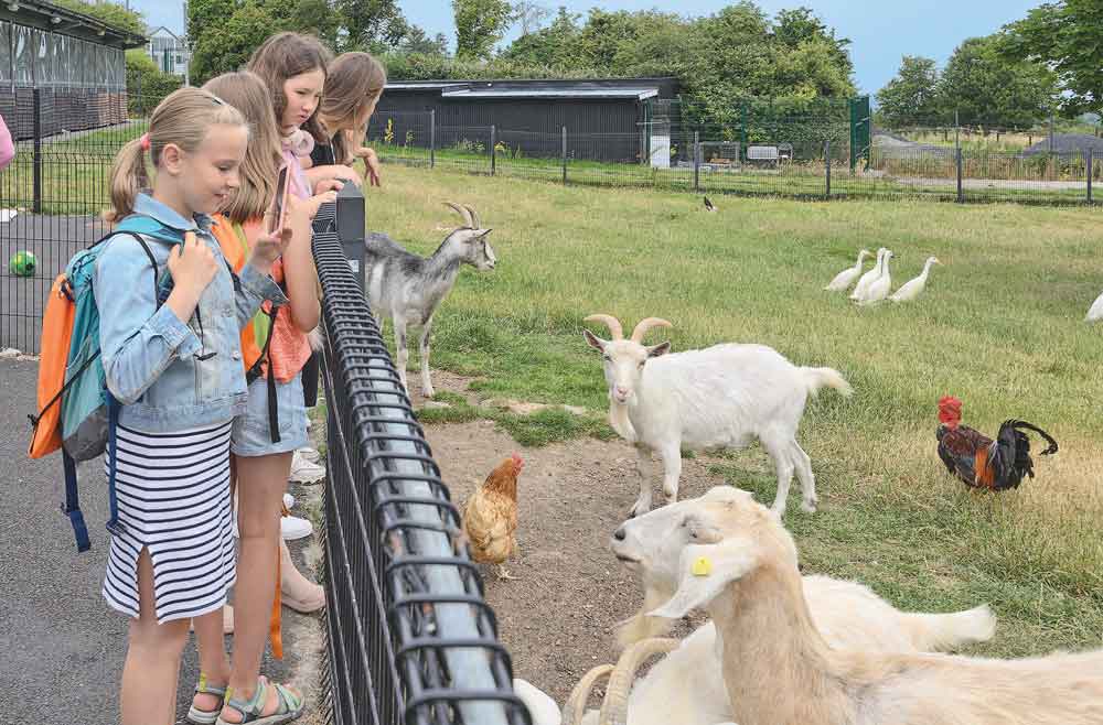 Children from Ukraine visit DSPCA in Rathfarnham | Echo.ie