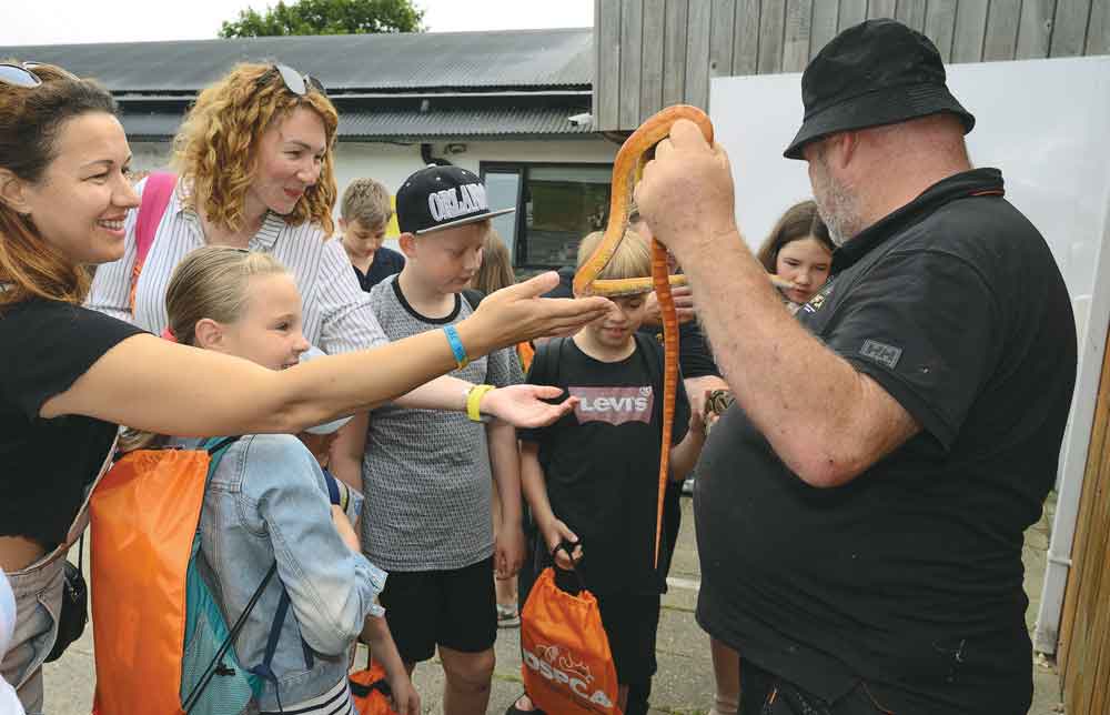 Children from Ukraine visit DSPCA in Rathfarnham | Echo.ie