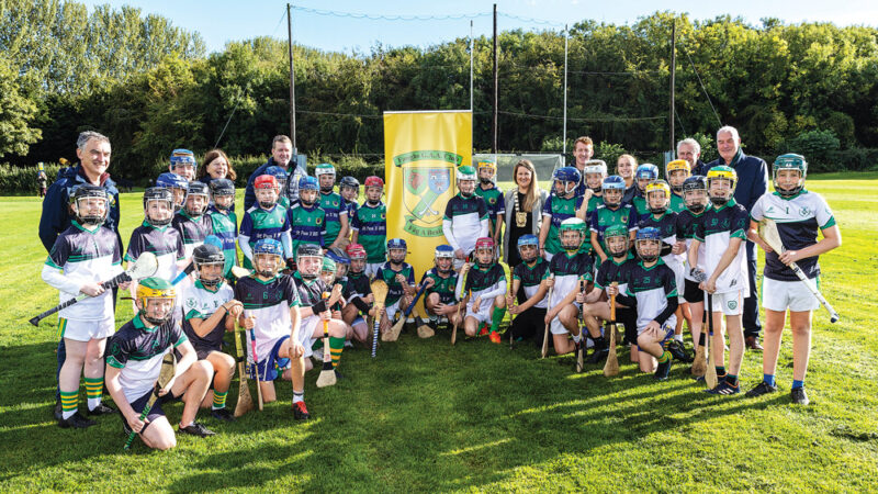 Gaelic games pitch will have "phenomenal impact" after €180k investment ...