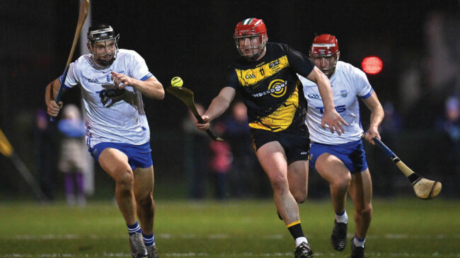 Local hurler Eric Finn captains Underdogs | Echo.ie