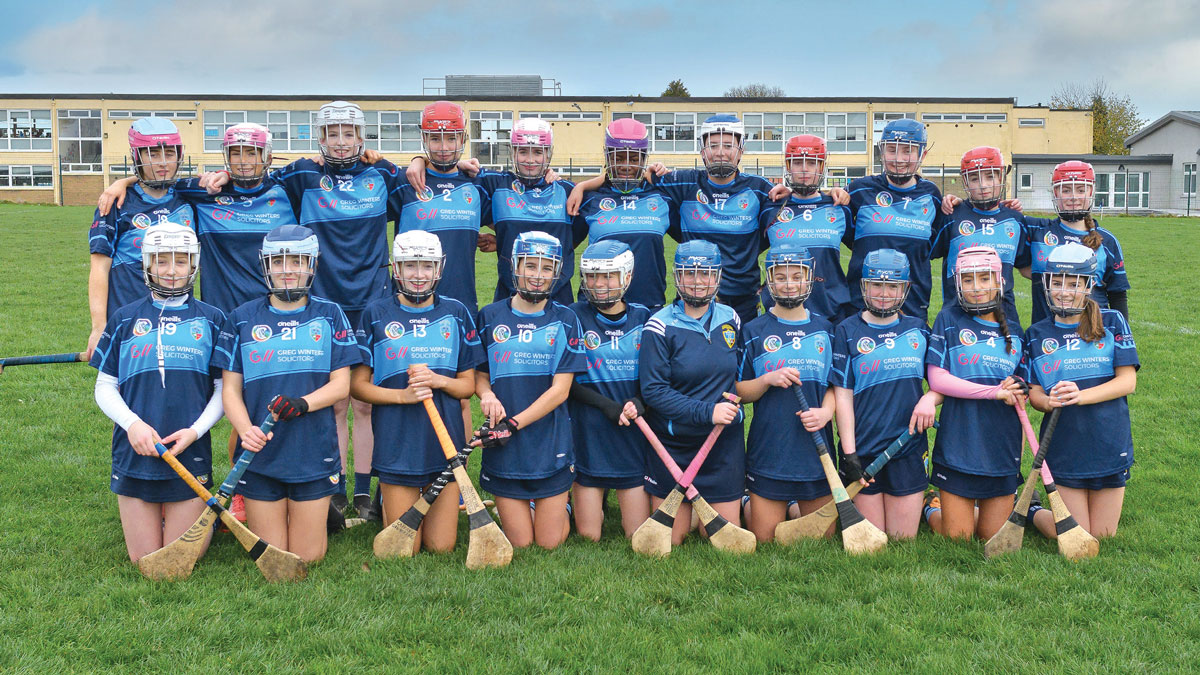 Brave Jude's edged out in final | Echo.ie