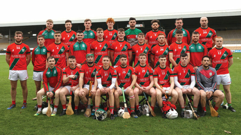 Commercials into final: Rathcoole-side maintain impressive run | Echo.ie
