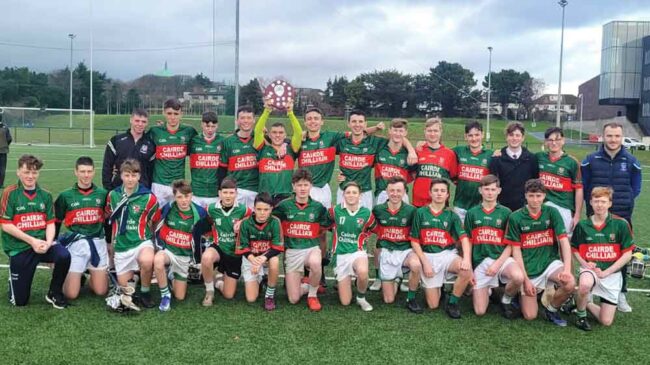 Colaiste Chilliain hurling joy | Echo.ie