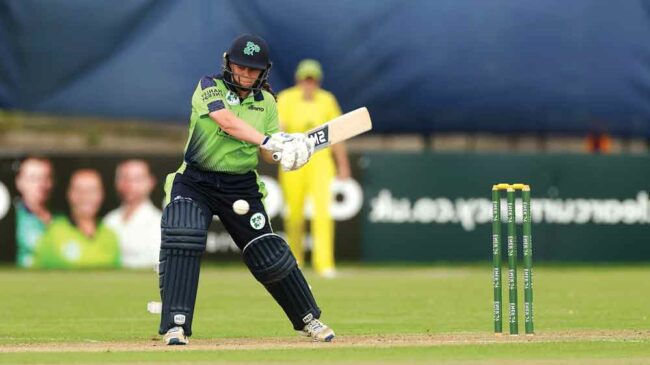 ‘The World Cup is where every team wants to be in sport’ | Echo.ie