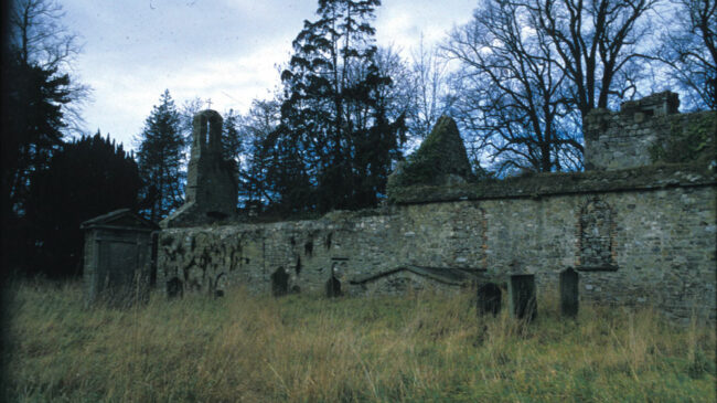 Case made to repatriate Earl of Lucan remains to home town | Echo.ie