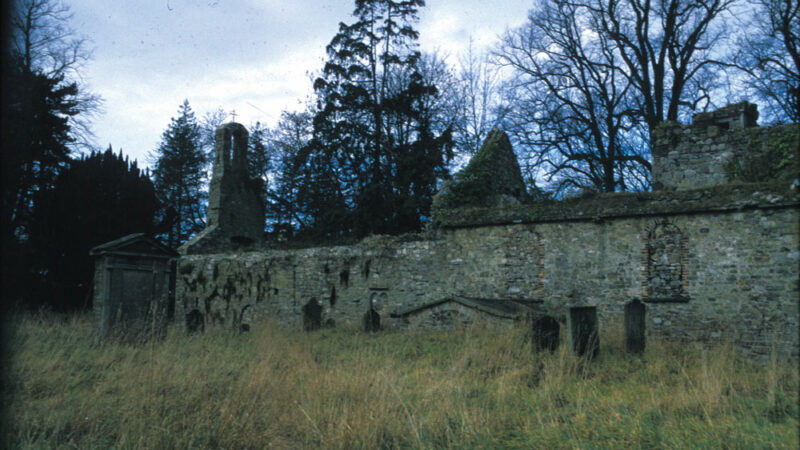 Case made to repatriate Earl of Lucan remains to home town | Echo.ie