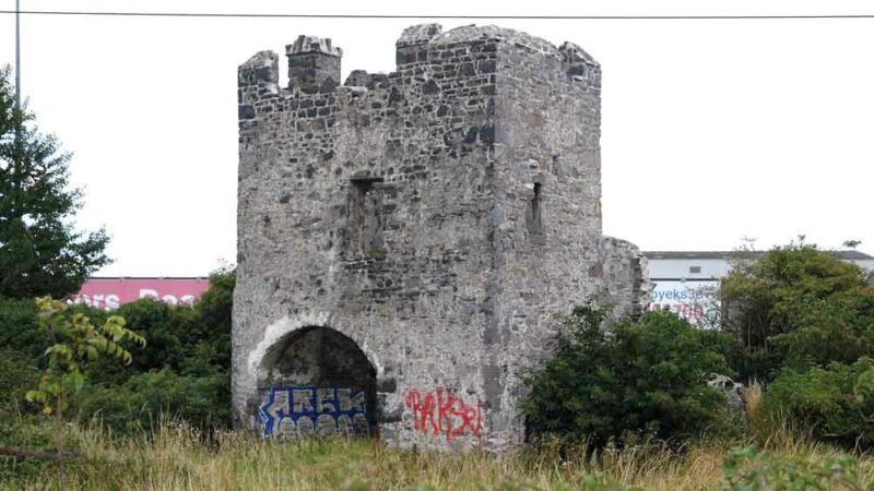 Ballymount Castle ruins should remain as they are | Echo.ie