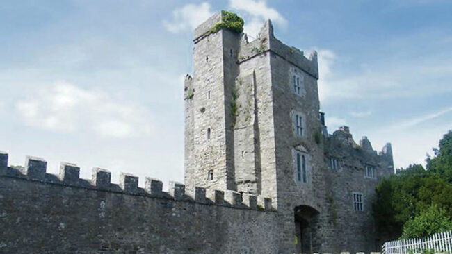Drimnagh Castle receives €100k from monuments fund | Echo.ie