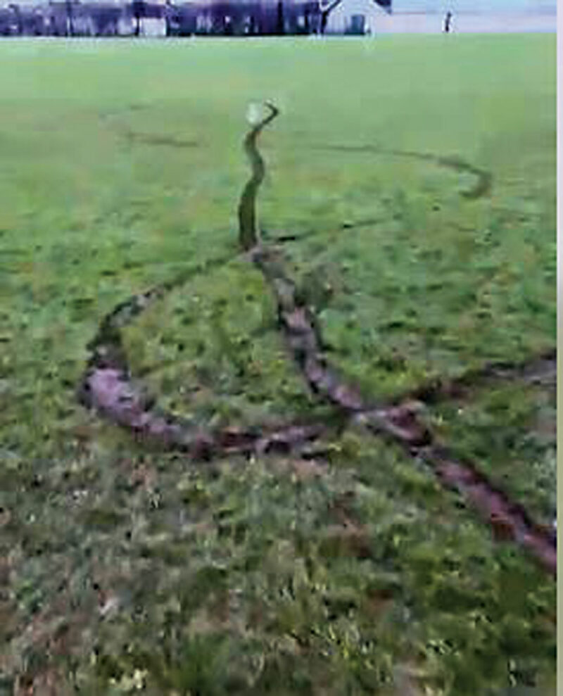 Damage to football pitches is ‘soul destroying’ says club | Echo.ie