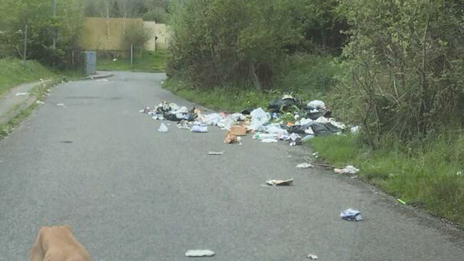 Litter wardens regularly patrol Hazel Hill to combat dumping | Echo.ie
