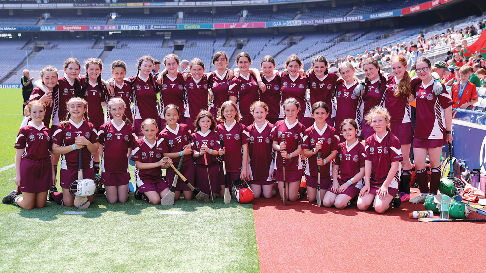 Local schools impress in hurling and camogie Cumann na mBunscol finals ...