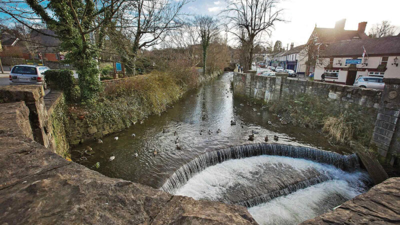 Open call for village festival artists | Echo.ie