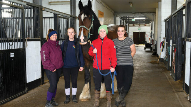 New upgraded arena for horse project in Fettercairn | Echo.ie