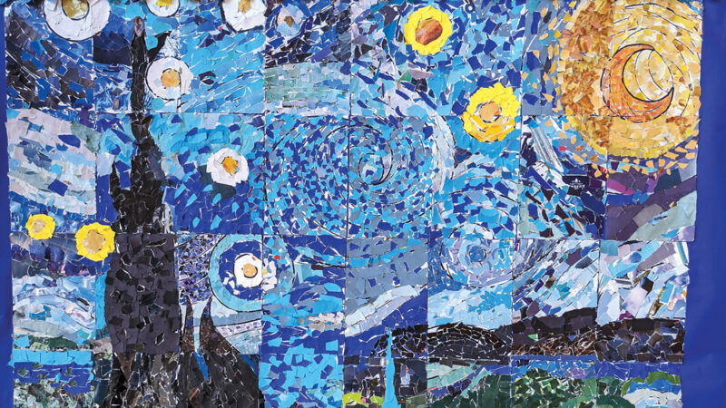 Pupils transform school hall into an art gallery | Echo.ie