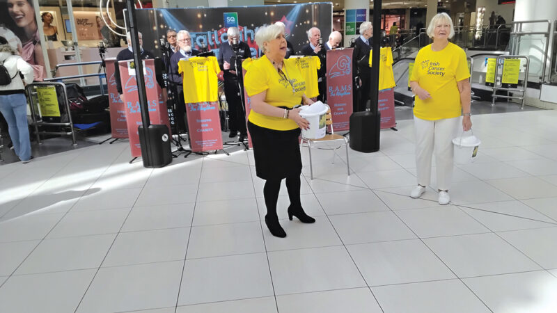 RAMS raise €3k for Irish Cancer Society on Daffodil Day | Echo.ie